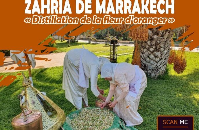 evenements - Faculté des Lettres et Sciences Humaines Marrakech